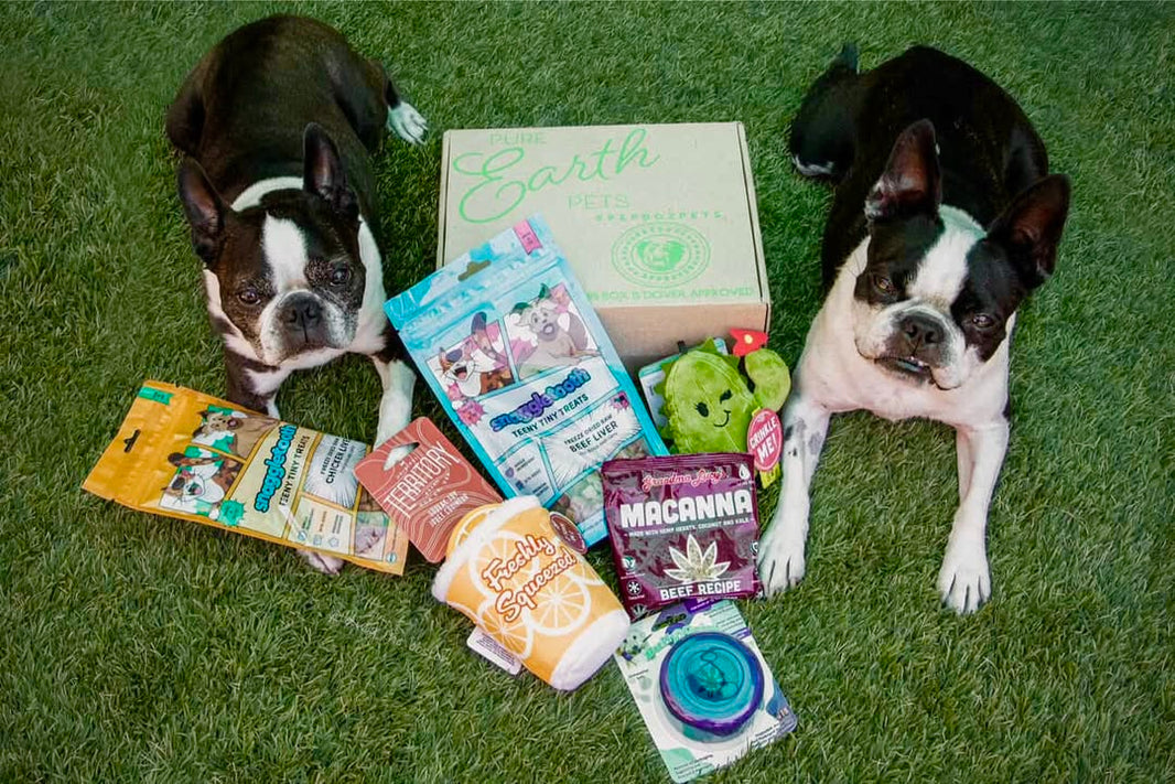 Get Started with Your Eco Friendly Pure Earth Pets Box!