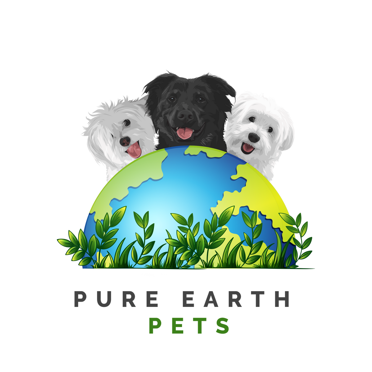 Eco-Friendly Dog Box – Pure Earth Pets