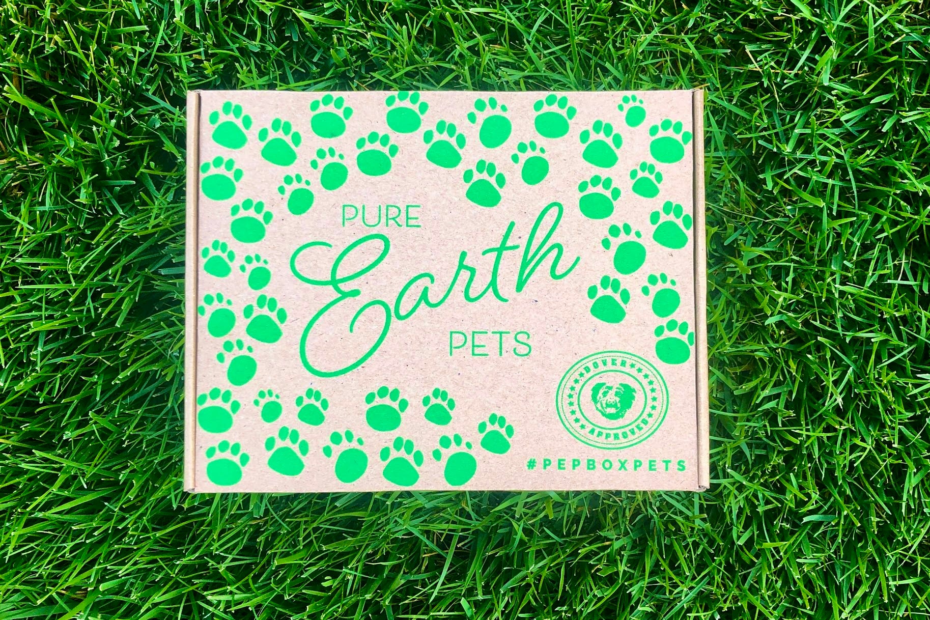 Pure Earth Pets | Eco-Friendly Dog Subscription Box | Sustainable Pet